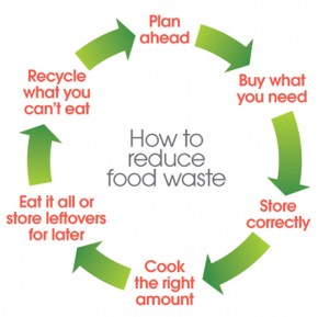 Actions to Make an Impact on Food Waste | Alexandrea Humphreys